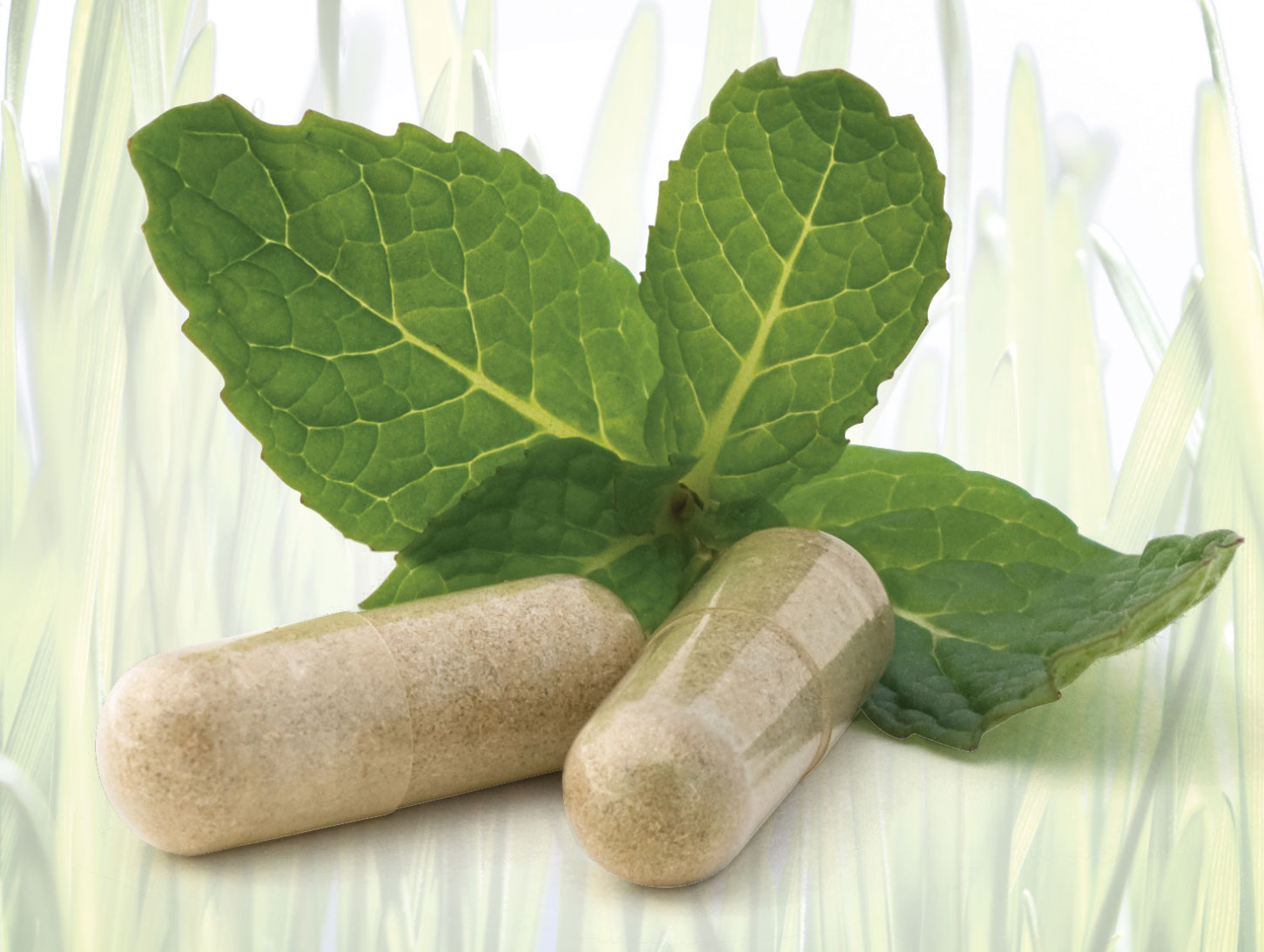 Press Release - thrive.alive.com