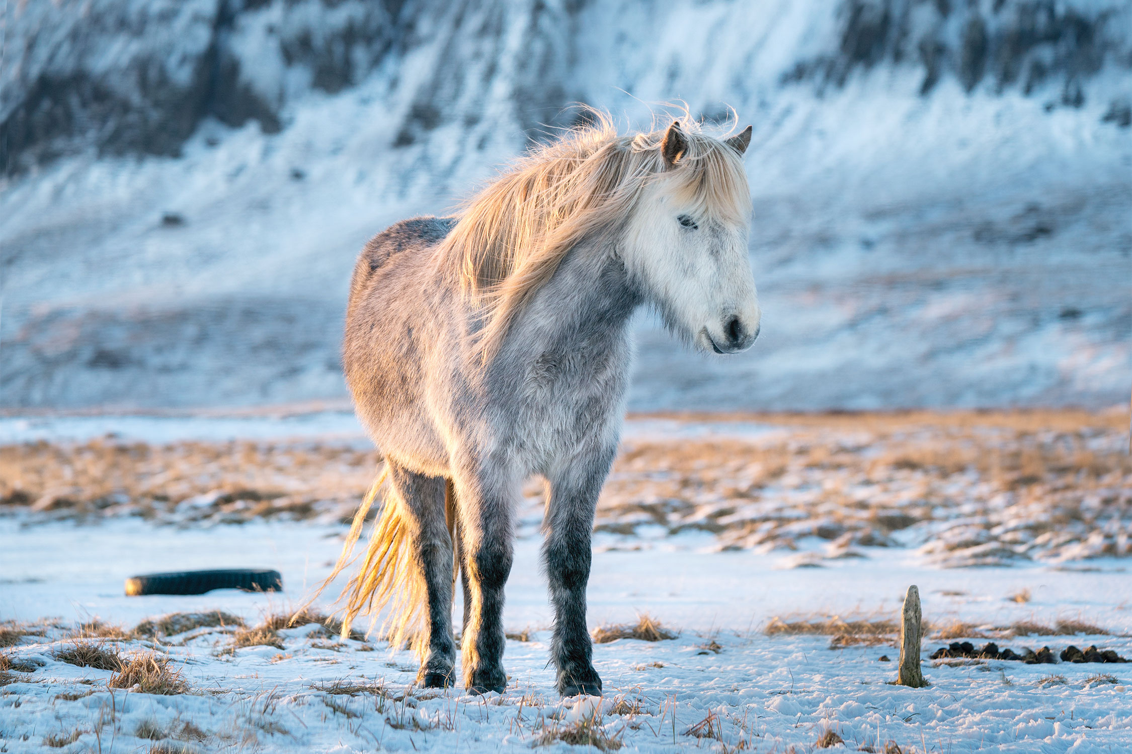 Coming soon in … alive: March 2018 - thrive.alive.com